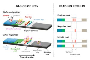 What is a Rapid Diagnostic Test (RDT)? | AlterDiag