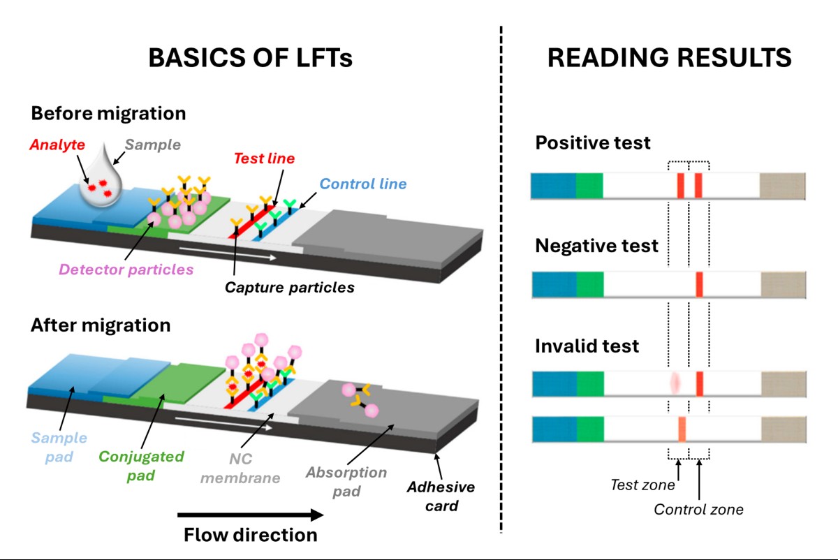 What is a Rapid Diagnostic Test (RDT)? | AlterDiag